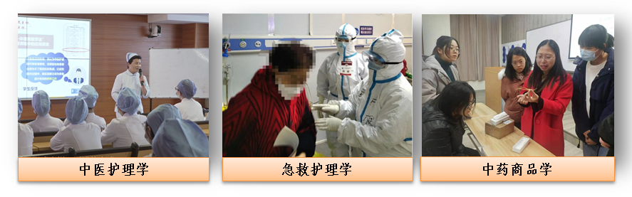 我校33个项目获评上海课程思政示范项目